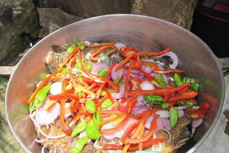 Palenque: Eco-Tour on Horseback with Lunch - Exploring the Details of the Palenque Horseback Eco-Tour