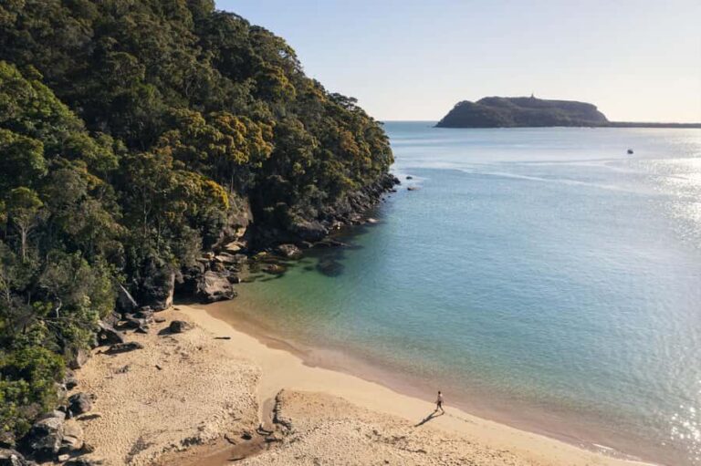 Palm Beach Harbour Hopper 24-hour or 48-hour Cruise Pass - The Stops — What You’ll See and Do