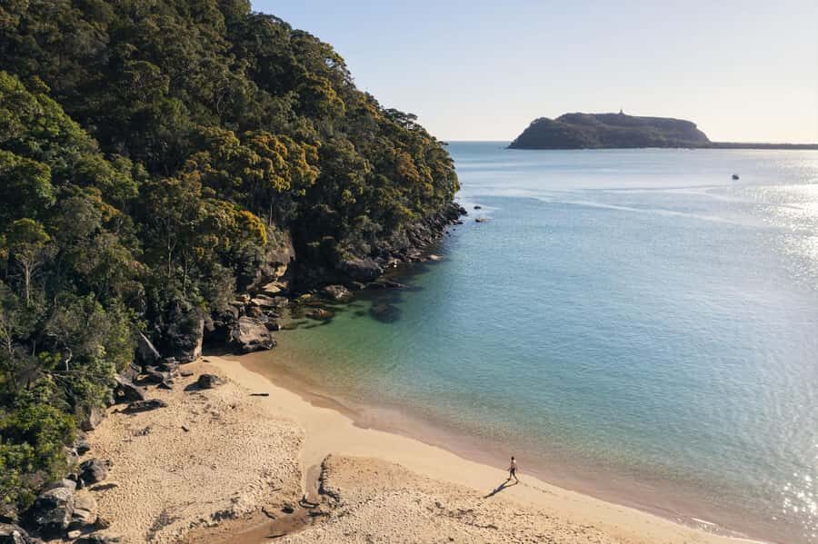 Palm Beach Harbour Hopper 24-hour or 48-hour Cruise Pass - The Stops — What You’ll See and Do