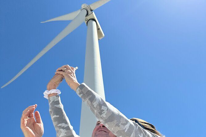 Palm Springs Windmill Guided Tour by Golf Cart - The Value of a Guided Tour