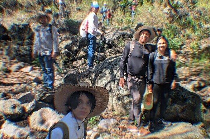 Palo Huerfano Volcano Nature Hiking - Who Is This Tour Best For?