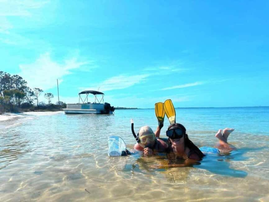 Panama City Beach: Dolphin Watching and Snorkeling Tour - The Itinerary: What a Typical Trip Looks Like