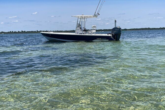 Panama City Beach Florida, Dolphin, Shell Island and Eco Tours - Practical Details and Tips