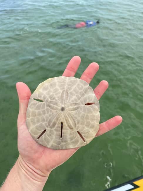 Panama City Beach: Snorkel Excursion with Good Jibez Only - Final Thoughts