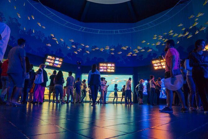 Panoramic Sightseeing Bus City Tour of Veracruz - Frequently Asked Questions