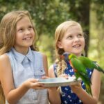 Paradise Country: Ultimate Aussie Farm Experience - The Sum Up: Who should consider visiting Paradise Country?