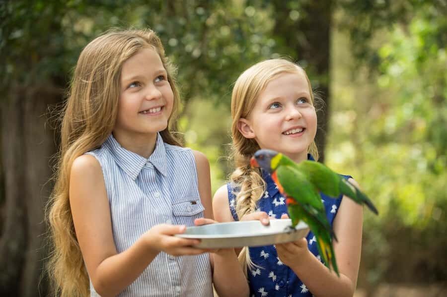 Paradise Country: Ultimate Aussie Farm Experience - The Sum Up: Who should consider visiting Paradise Country?