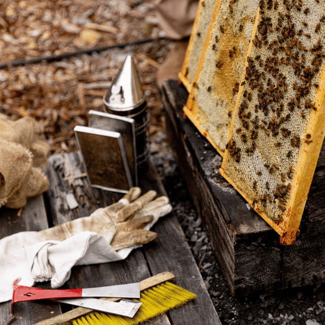 Paradise Valley: Bee Adventure Tour! - The Practical Details & Why They Matter