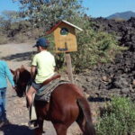 Paricutin Volcano Crater Special Tour - An In-Depth Look at the Paricutin Volcano Tour