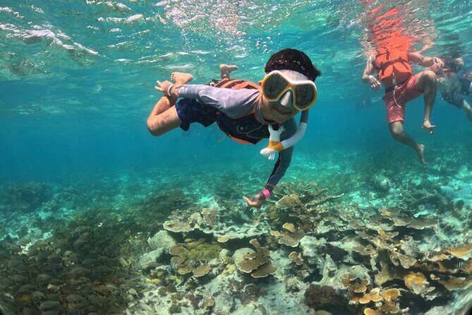 Party at Isla Mujeres Catamaran Open Bar! Half-Day Luxury Tour - Practical Tips & Considerations