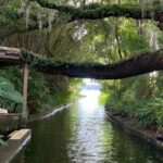 Peacocks, Presidents and Puzzles - The Winter Park Walking Tour + Boat - Authentic Traveller Experiences