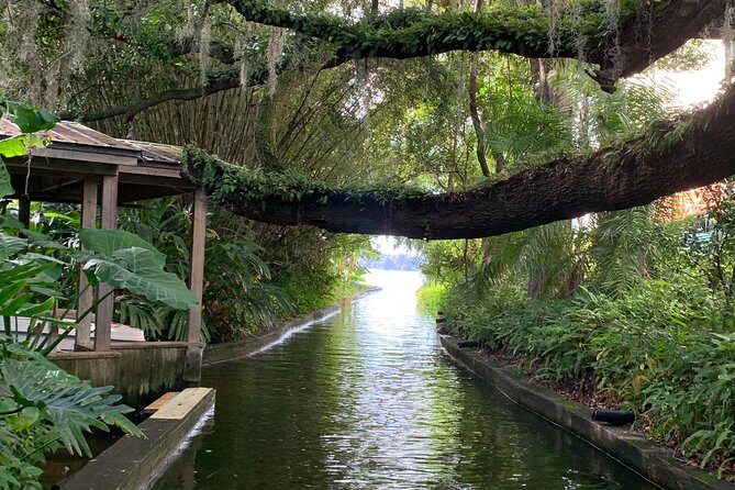 Peacocks, Presidents and Puzzles - The Winter Park Walking Tour + Boat - Authentic Traveller Experiences