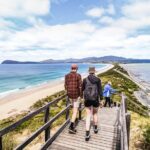 Peaks, Falls & Furry Locals: Mt. Field & the Derwent - Authentic Experiences and Hidden Gems