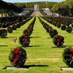 Pearl Harbor Arizona & Missouri tour from HNL Airport - Why This Tour May Be Perfect for You