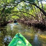 Pedal Kayak Mangrove Tunnel Tour in Bradenton - The Experience’s Value and Practicalities