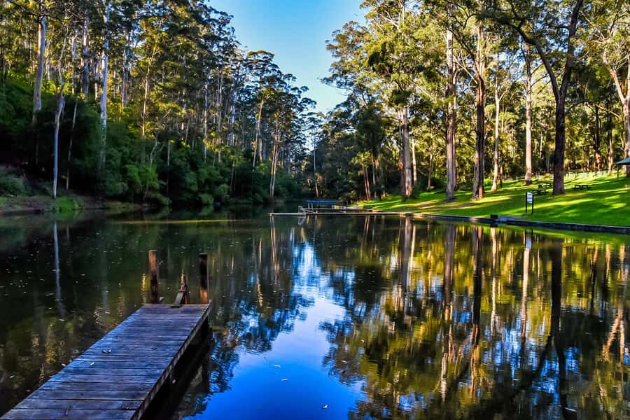 Pemberton: Secret Picnic Adventure with Digital Clues - The Practical Details