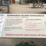 Penguin and Australian Animals Private Tour - What’s Included and What’s Not