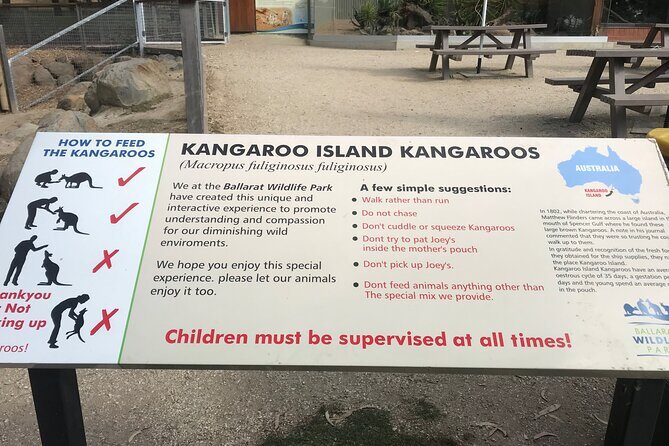 Penguin and Australian Animals Private Tour - What’s Included and What’s Not