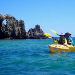 Penguin and Seal Islands Sea Kayaking Experience - A Detailed Look at the Itinerary