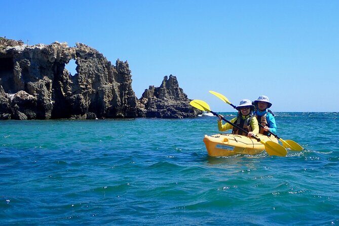 Penguin and Seal Islands Sea Kayaking Experience - A Detailed Look at the Itinerary