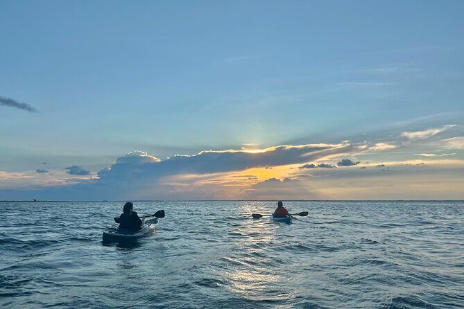 Pensacola Beach Kayak Tour - Practical Details and What to Expect