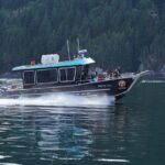 People Water Land- Indigenous Cultural and Wildlife Tour - Dive into the Experience