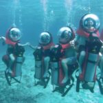 Personal Mini Submarine Dive Adventure in Cozumel - The Experience: What Youll Actually Do