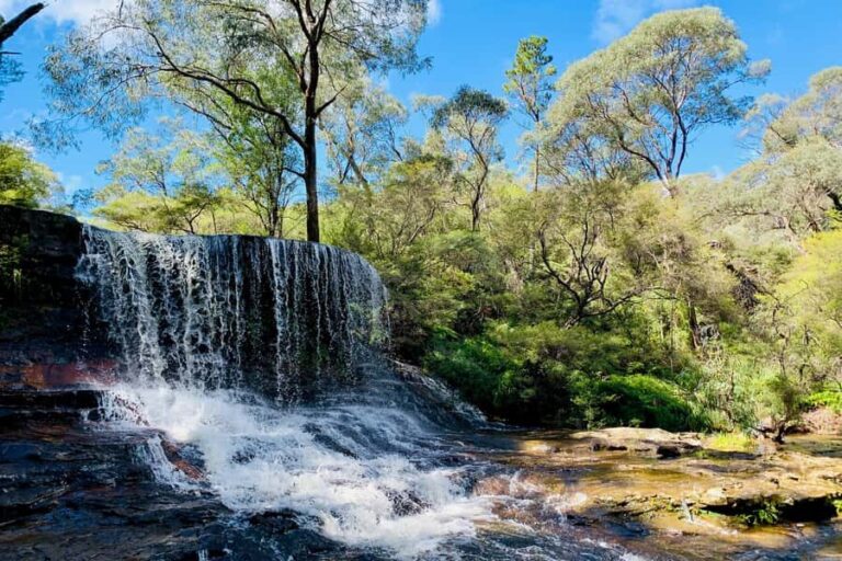 Personalised Blue Mountains Tour: Luxury Vehicles & Insights - Final Thoughts: Is It Worth It?