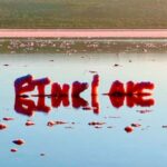 Perth: 2-Day Pink Lake, Kalbarri, and Pinnacles Tour - What Makes This Tour Stand Out?