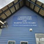 Perth: Busselton Jetty Full - Day Guided Tour - Free Time: Exploration & Optional Experiences