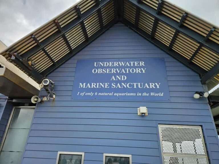 Perth: Busselton Jetty Full - Day Guided Tour - Free Time: Exploration & Optional Experiences