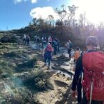 Perth: Darling Range Twin Peaks Hike with Morning Tea - Why We Think This Tour Stands Out
