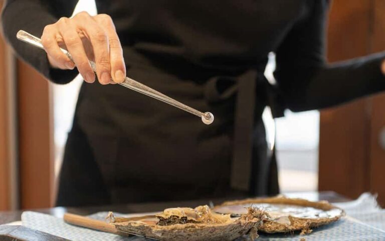 Perth: Harvest Your Own Pearl Experience - Practical Details and What You Should Know