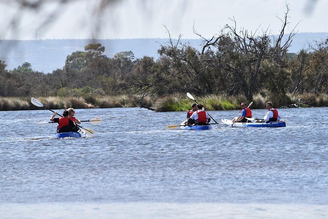 Perth Kayak Tour - Canning River Wetlands - Why We Think It’s Worth Considering