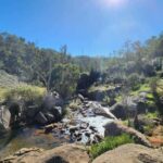 Perth: Numbat Trail Hike at Paruna Wildlife Sanctuary - Final Thoughts: Is It Worth It?