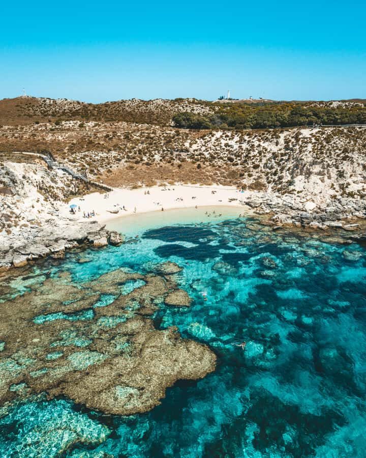 Perth: Rottnest Island Flight Transfer with Return Ferry - What Makes This Tour Stand Out?