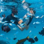 Perth to Exmouth 6-Day Coral Coaster One-Way Journey - Why This Tour Works Well