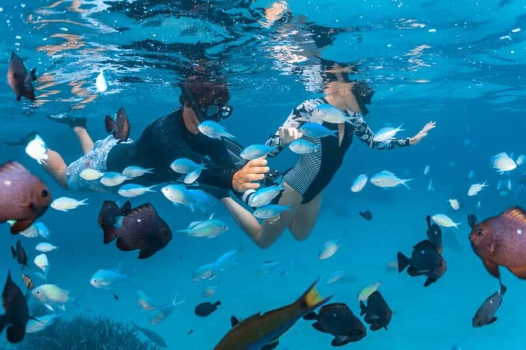 Perth to Exmouth 6-Day Coral Coaster One-Way Journey - Why This Tour Works Well