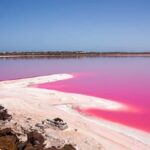 Perth to Exmouth & Return with Monkey Mia & Ningaloo Reef - Authentic Insights from Reviewers