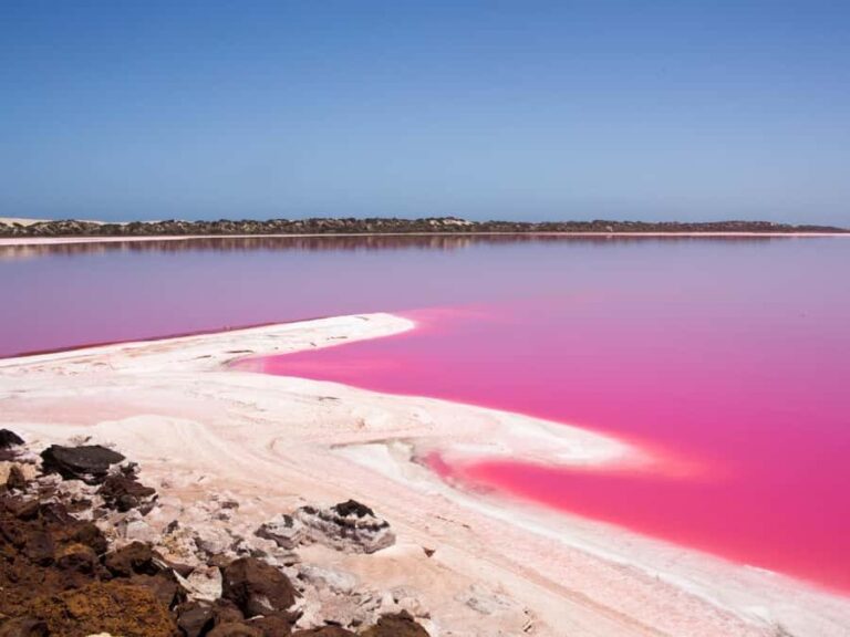 Perth to Exmouth & Return with Monkey Mia & Ningaloo Reef - Authentic Insights from Reviewers