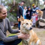 Perth: WA Wildlife Hospital and Native Fauna Encounter Tour - Who Will Love This Tour?