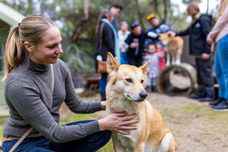 Perth: WA Wildlife Hospital and Native Fauna Encounter Tour - Who Will Love This Tour?
