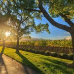 Perth Wildlife Park & City Highlights - Small Group Tours - A Morning with Australia’s Iconic Wildlife