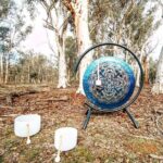 Perth Wildlife Tour Under the Stars with Dinner - Who Should Book This Tour?