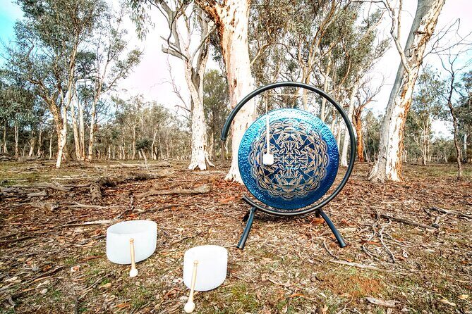 Perth Wildlife Tour Under the Stars with Dinner - Who Should Book This Tour?