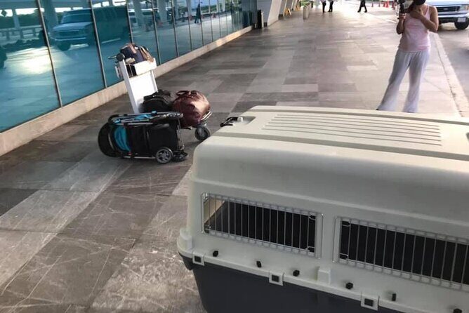 PET FRIENDLY Private Transfer Cancun - Playa del Carmen - Price and Value Analysis