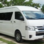 Pet Friendly Transportation Service In Cancun - Detailed Breakdown of the Experience
