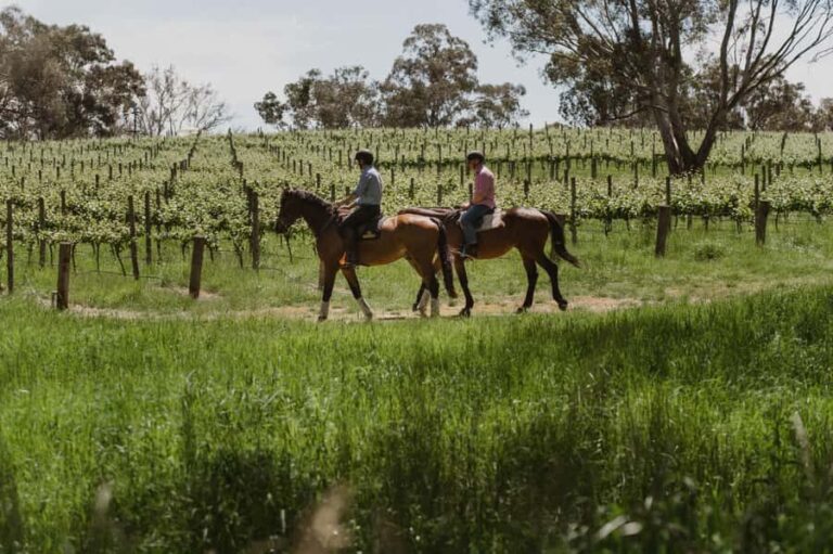 Petaluma: Horseback Riding and Wine Tasting Tour - Who Will Love This Tour?