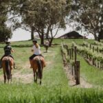 PETALUMA: VIP Equestrian & Private Wine Lunch with Olympian - Practical Details and Tips