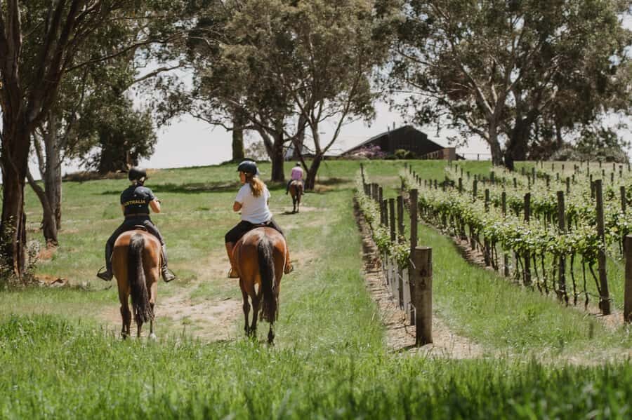 PETALUMA: VIP Equestrian & Private Wine Lunch with Olympian - Practical Details and Tips